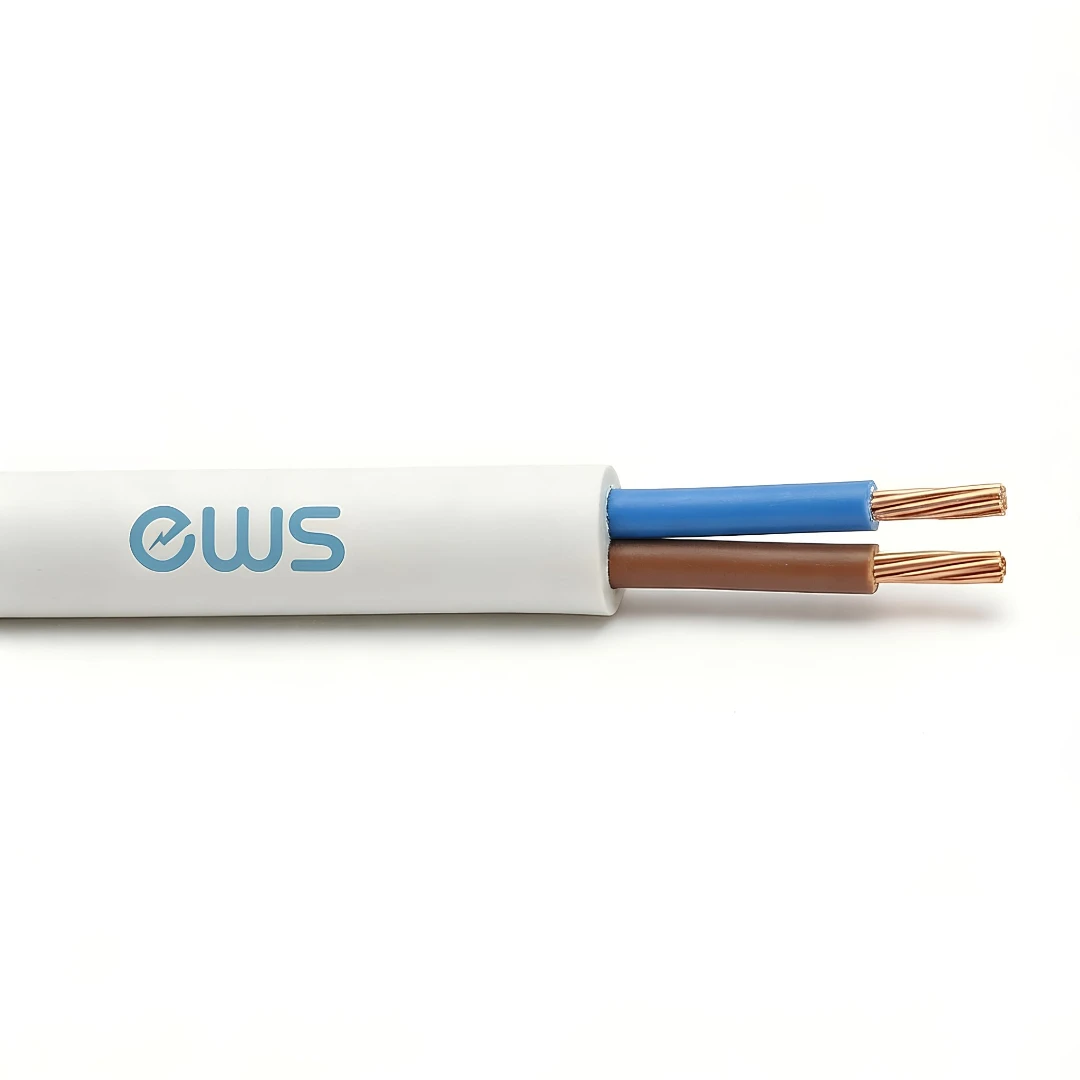 0.75mm PVC Cable BS EN 50265-2-11 H05VV-F 100m Reel - EWS